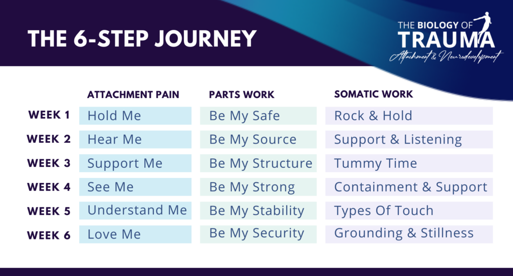 Biology of Trauma with Dr. Aimie – Biology of Attachment, Survival and ...
